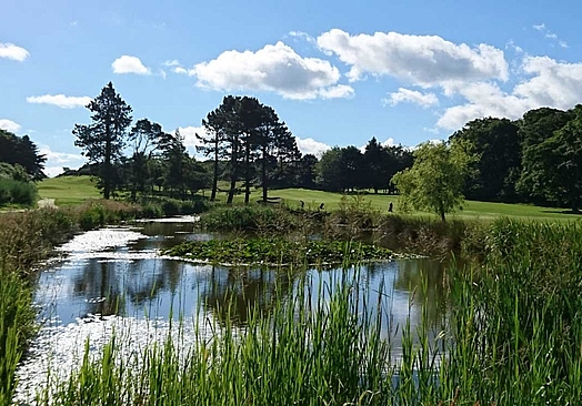 Golf i Skottland - Översikt över golfbanor, hotell och resorts i Skottland
