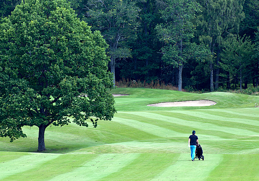 Golf i Jönköping | Find dit næste Golfophold i smuk Natur!