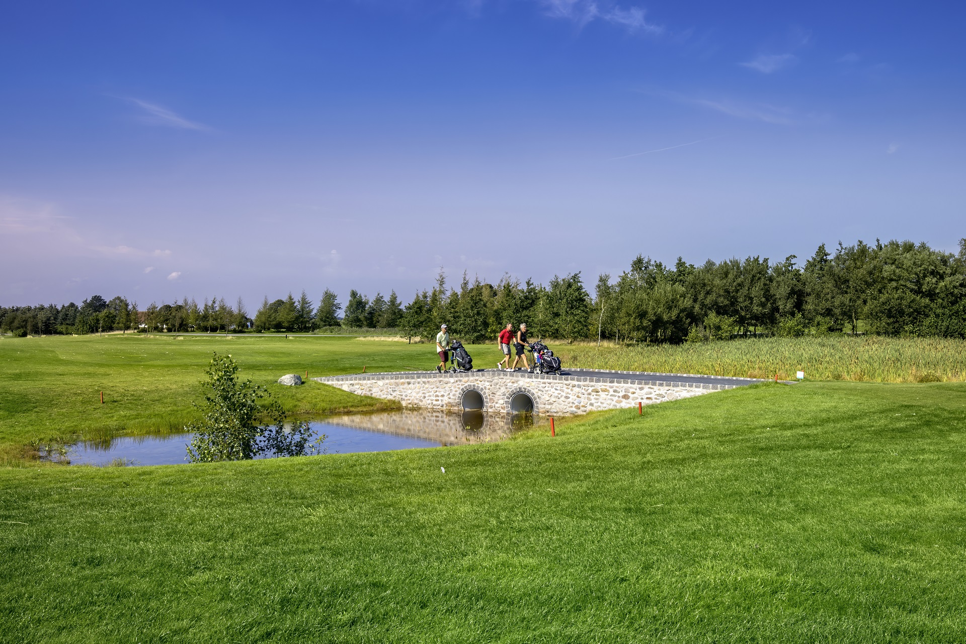 Hobro Golf | Golf ved Mariagerfjord | NordicGolfers.com