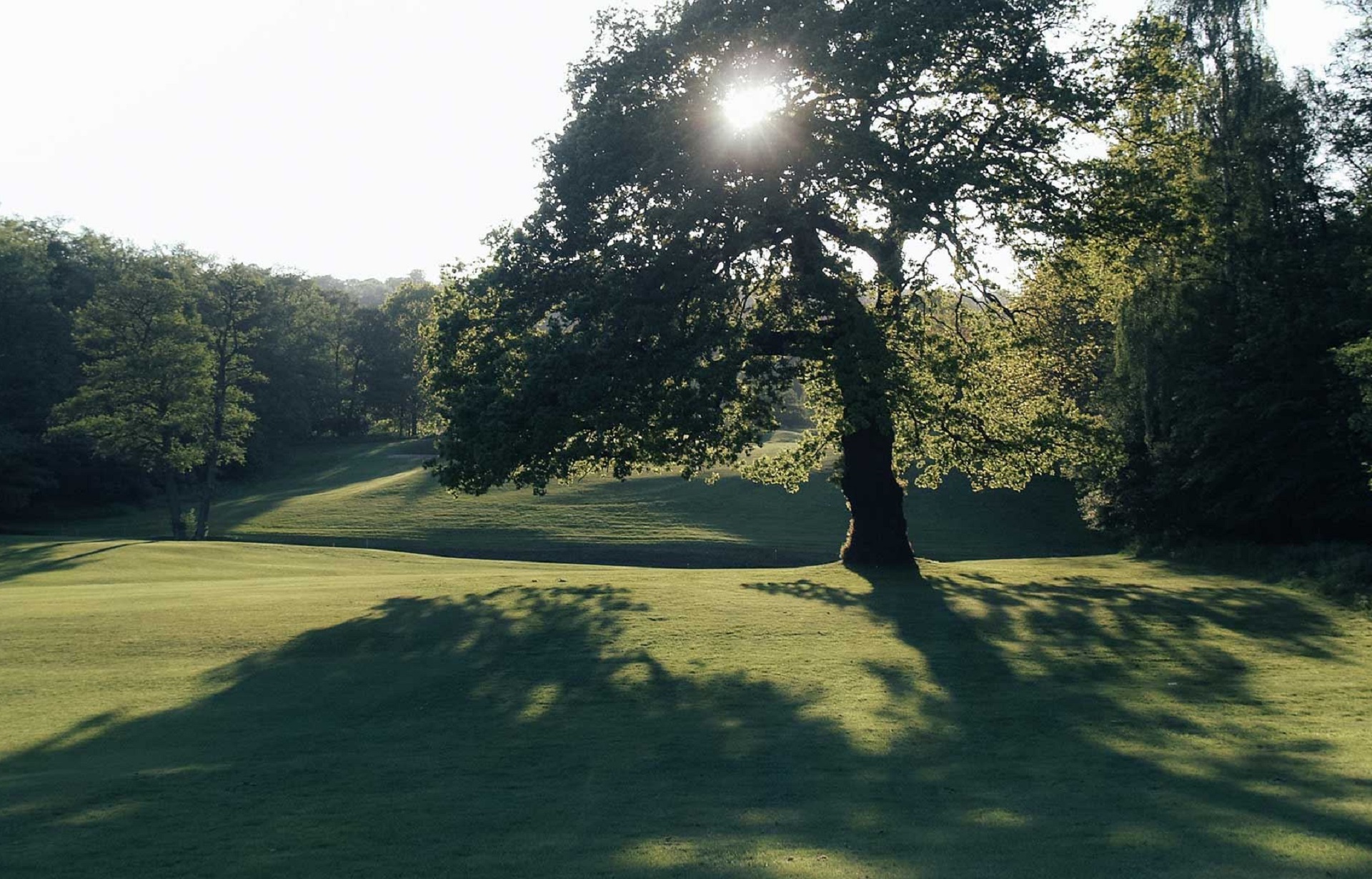 Rungsted Golf Klub