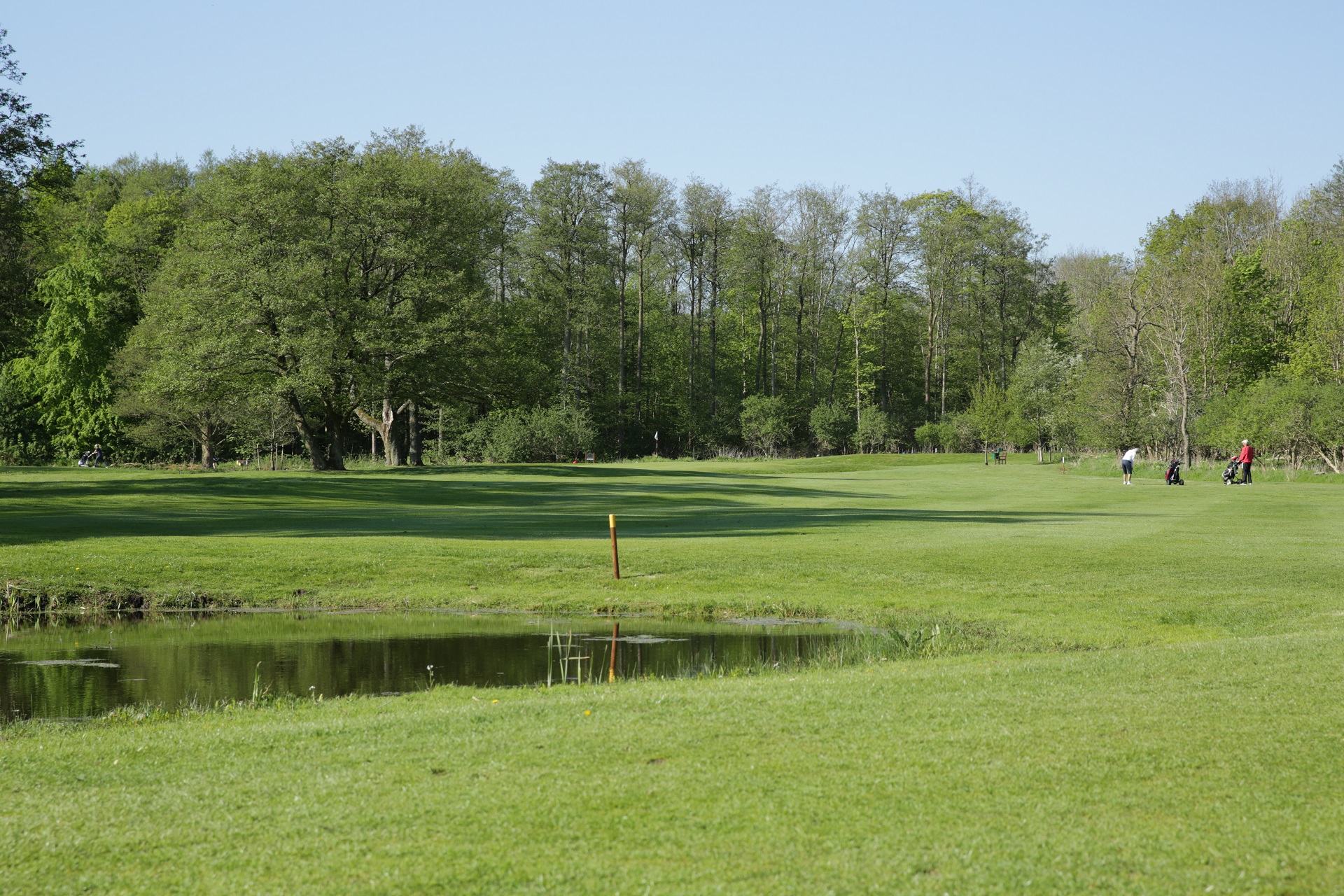 Rungsted Golf Klub