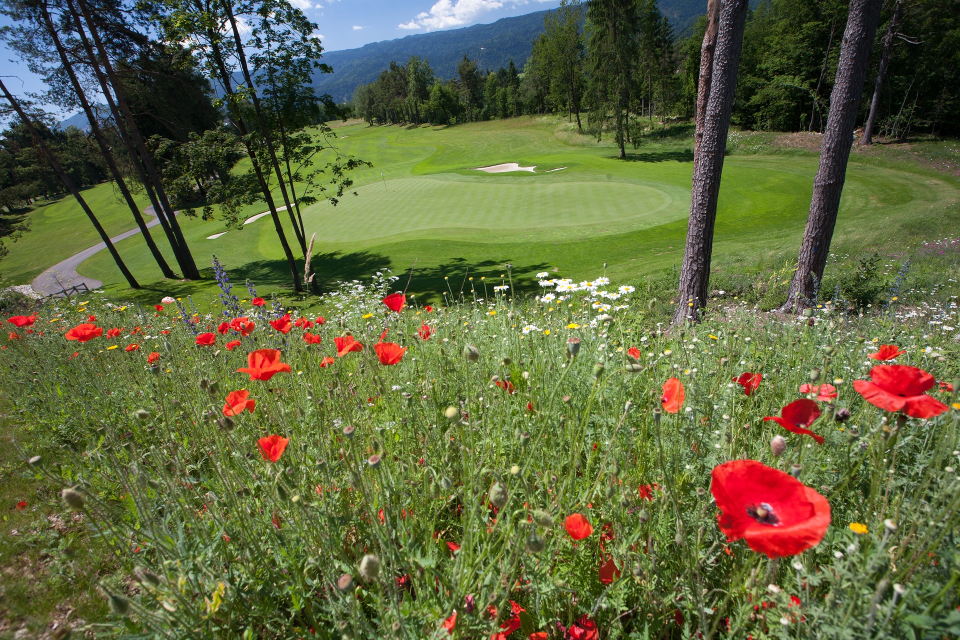 Royal Bled Resort | Golfvistelse Slovenien | NordicGolfers
