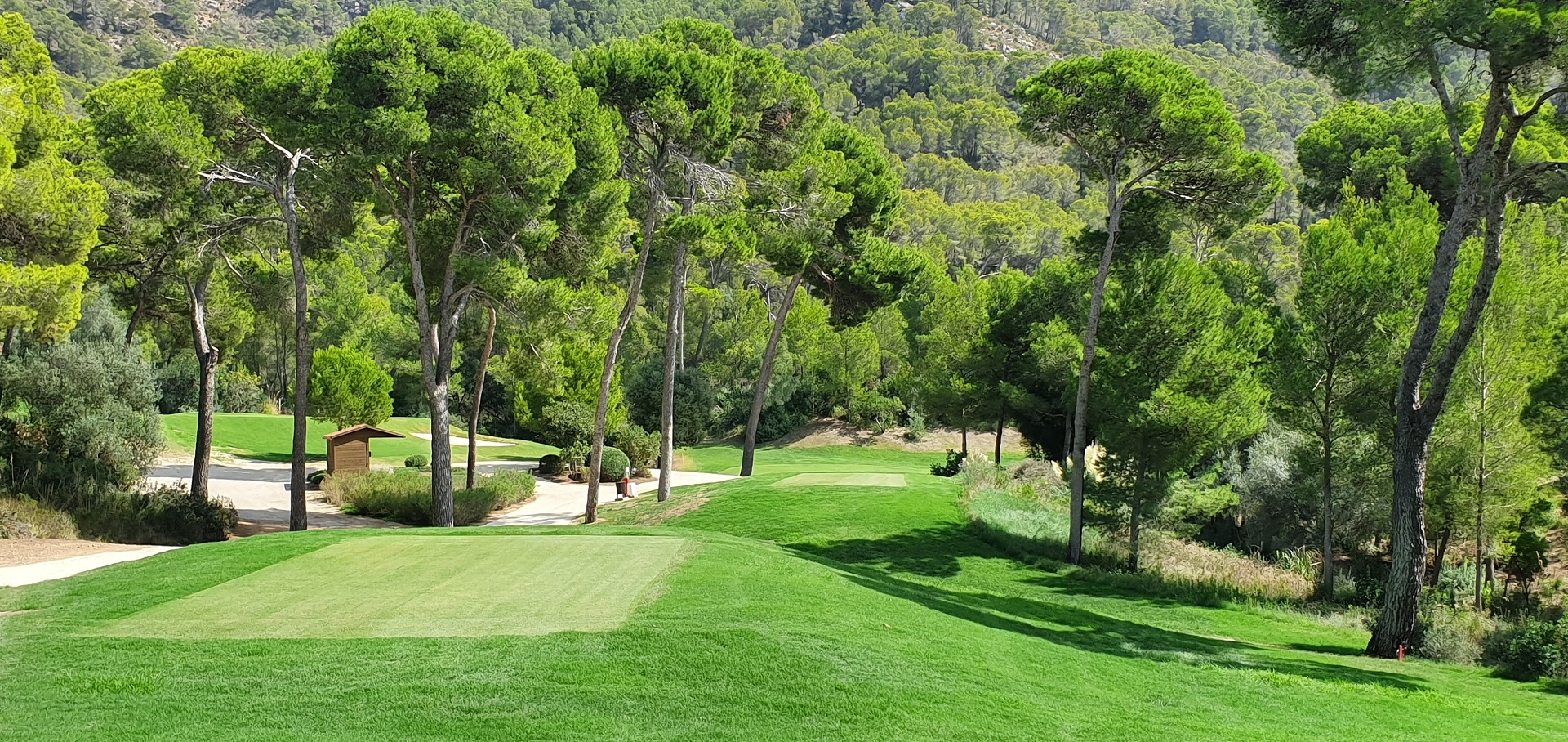 Club de Golf de Son Servera