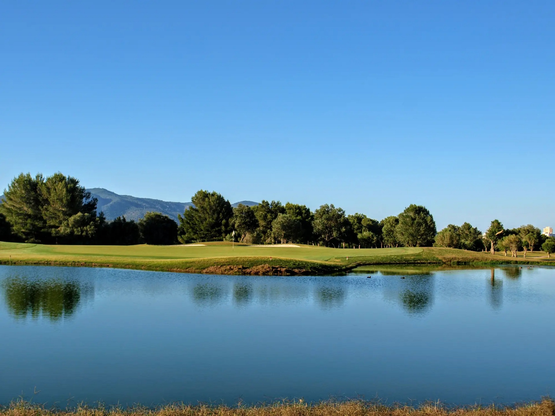 T Golf & Country Club Poniente | Golfbane på Mallorca
